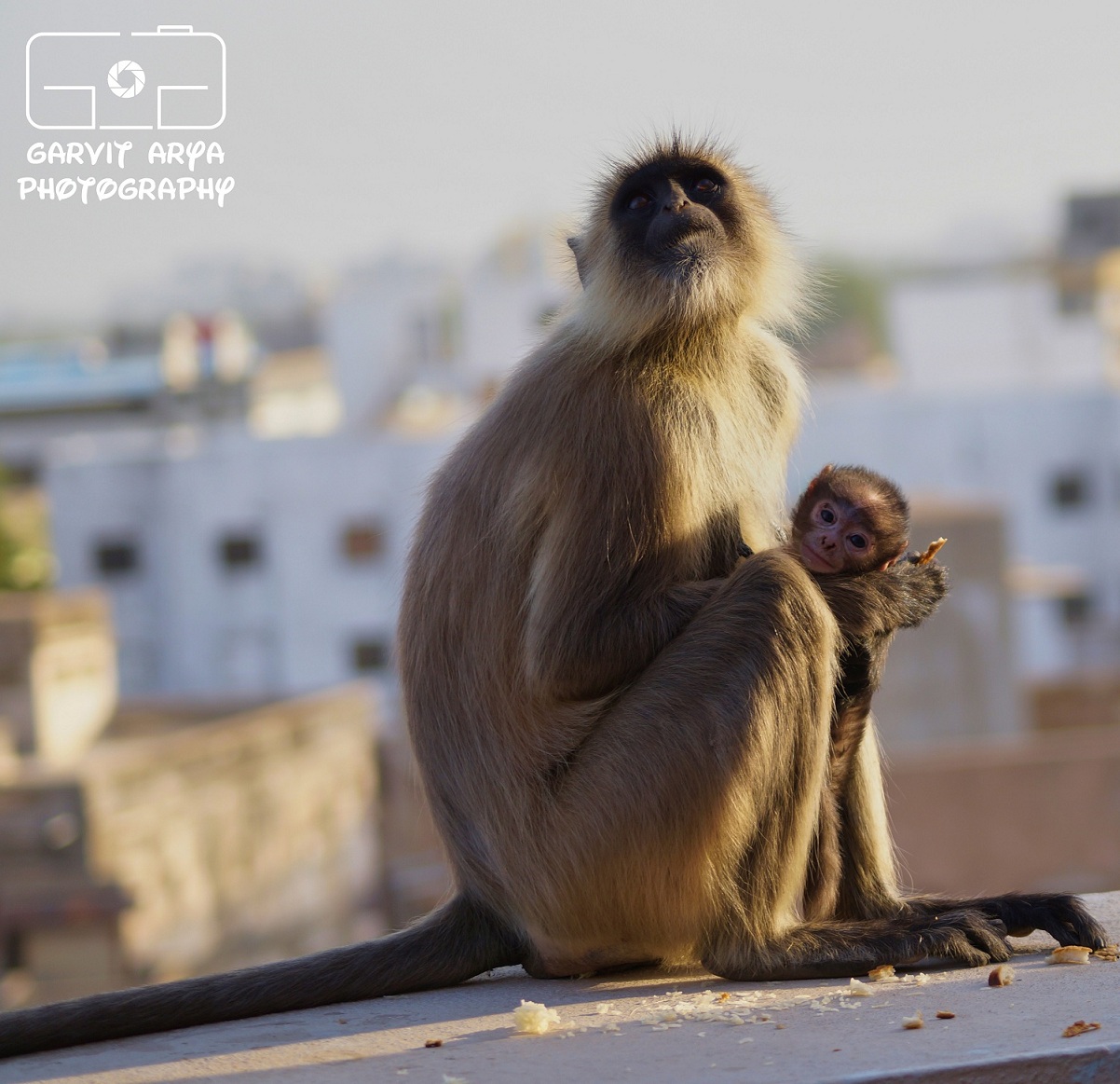 Photographer | Garvit Arya